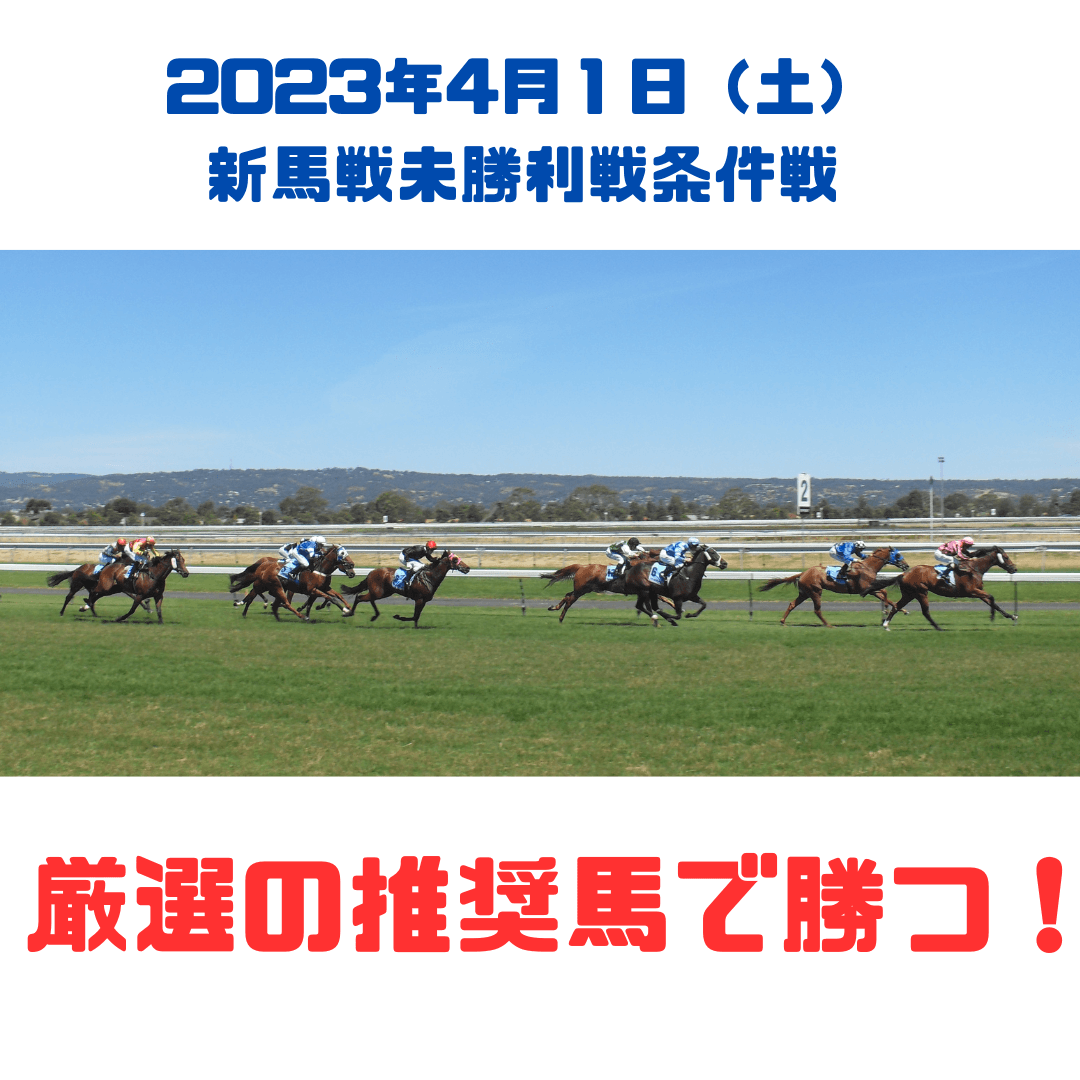 単勝特化型で勝負!土曜日の中央競馬!新馬戦未勝利戦条件戦!
